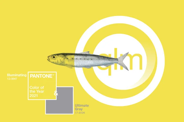 qlm connects | QLM Label Makers